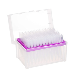 Sterile Pipette Tips, Filtered, DNAse and RNAse Free, Autoclavable - 1000 µl (10 Racks, 960 Tips)