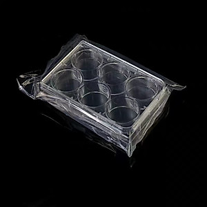 6 Well Culture Plate - Culture Plate 6 Well - with Lid, Flat Bottom, Individual Pack (Pack of 10)