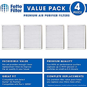 Fette Filter - Replacement HEPAtech Filters Compatible with Hunter 30920 30050 30055 30065 37065 30075 30080 30177 30070 30905 30054 30062 30832 30868 30882 30883 37055 30071- Pack of 4