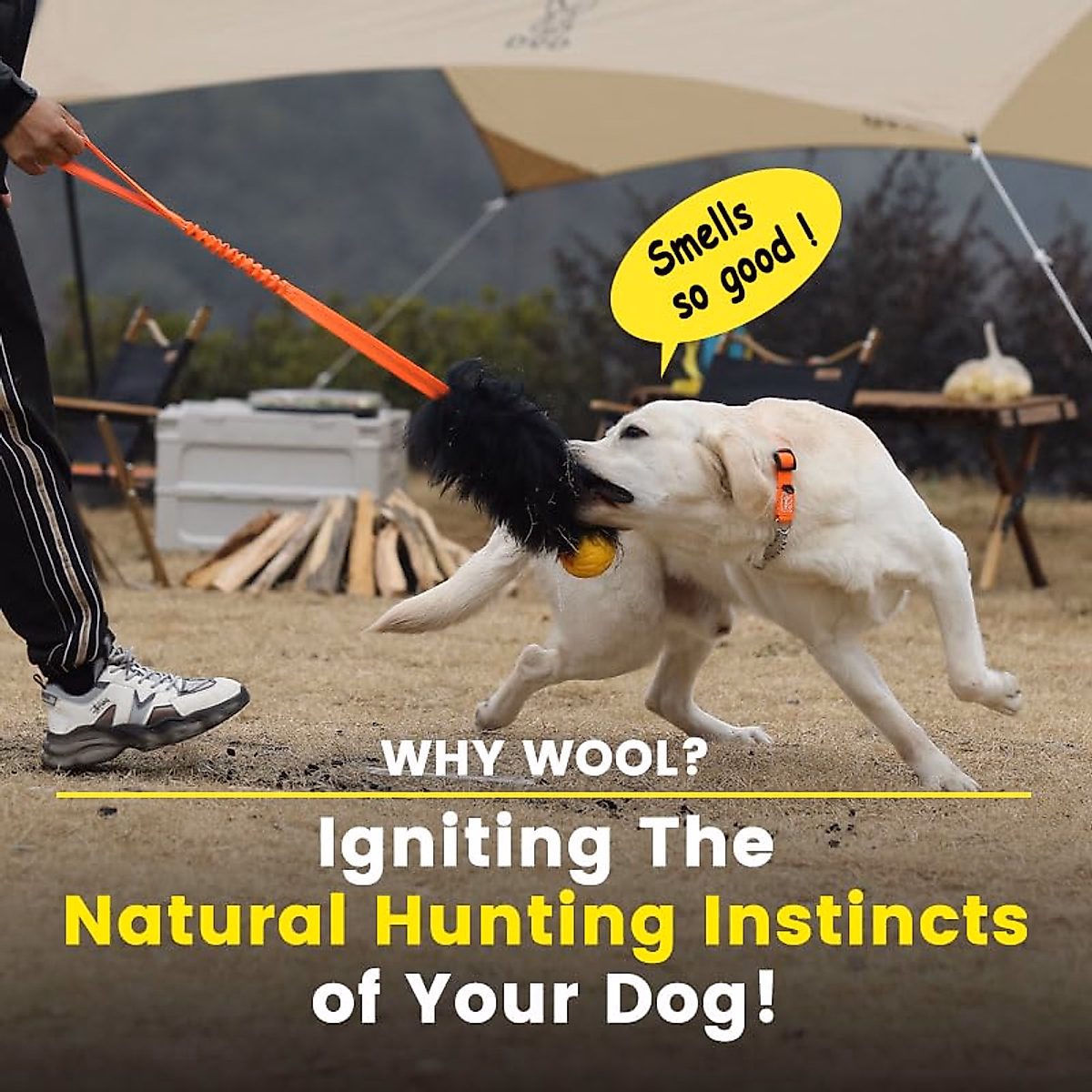 HOWGO Dog Rope Toy,Dog Bungee Chaser Toy 100% Sheepskin,Sheep Smell Tug Toy for All Breeds (Purple, Large)