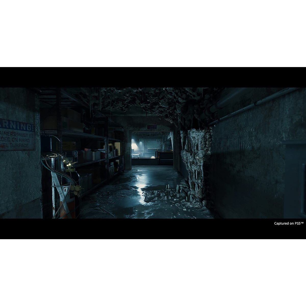 Death Stranding Director's Cut [PlayStation 5]