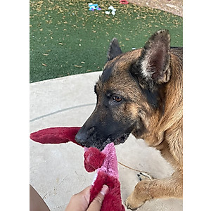 Jalousie 5 Pack Stuffingless Dog Squeaky Toys Dog Toy w/Durable Liner No Stuffing Dog Toy - Dog Toys Crinkle Paper Squeaker Toy for Medium Large Dogs (5 Pack - Color 4 - Squeaky)