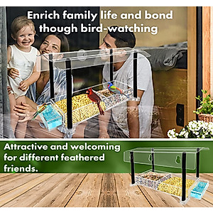 Window Bird Feeder for Outside - Squirrel and Weather Proof Clear Birdfeeder Hanger - Big Strong Suction Cups - Refill Sliding Tray - Best Birdhouse Cat Gift - Mount For Finch Cardinal Blue Jay Crow