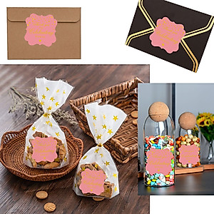 OPG Pink Thank You Sticker,Thank You for Celebrating with Us Stickers, Decorative Seals for Party Supplies,50-Pack 2"