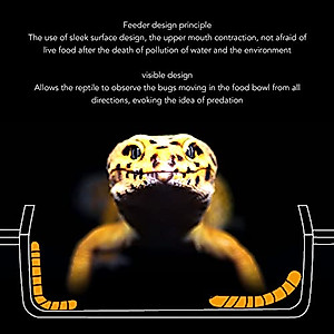 Zerodis Suction Cup Reptile Feeder, Green Wall Reptile Feeder Gecko Lizard Escape Proof Food Water Bowl (S)