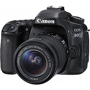 Canon EOS 80D DSLR Camera with EF-S 18-55mm is STM +64 GB SD Memory Card +Sunshine Pro Bundle