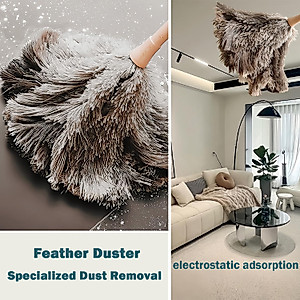 Genuine Ostrich Feather Duster Fluffy Natural with Wooden Handle and Eco-Friendly Reusable Handheld Cleaning Supplies, Gray and Brown(Length 16")