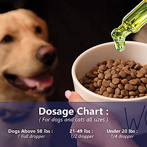 Billion Pets Hemp Oil for Dogs and Cats – Pure Organic Extract Calming Aid Drops with Glucosamine for Hip Support, Immune Function, Balanced Mood and Skin Health