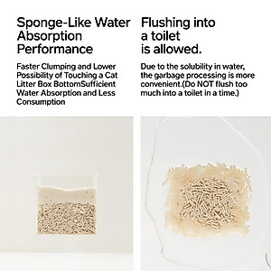 pidan Tofu Cat Litter with Occult Blood Test,Clumping,Flushable,Ultra Absorbent and Fast Drying, 100% Natural Ingredients Litter,Solubility in Water,Really Dust-Free,Less Scattering (5.3lb×2bags)