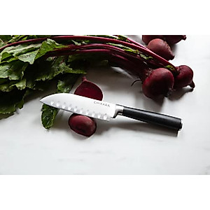 Ginsu Chikara Series Forged 5-Piece Japanese Steel Knife Set – Cutlery Set with 420J Stainless Steel Kitchen Knives – Toffee Finish Block, 07135DS