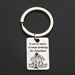 KUIYAI It Never Hurts to Keep Looking for Sunshine Bracelet Donkey Quote Bracelet Inspiration Gift (Keychain)