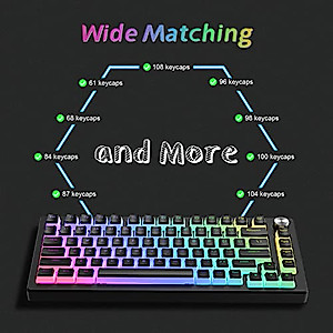 XVX Pudding Keycaps,141+24 Custom Keys Set, OEM Profile, Universal Compatiability for 100%, 75%, 65%, 60% Keyboard (Black)