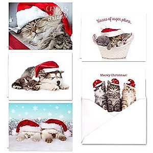 Christmas Cats Holiday Card Assortment Pack / 25 Seasonal Kitten Greeting Cards And Envelopes / 5 Sleeping Santa Animal Designs And Christmas Messages