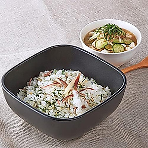 HARIO GO-2B Rice Pot, Microwave Safe, Black, 2 Pieces, Made in Japan