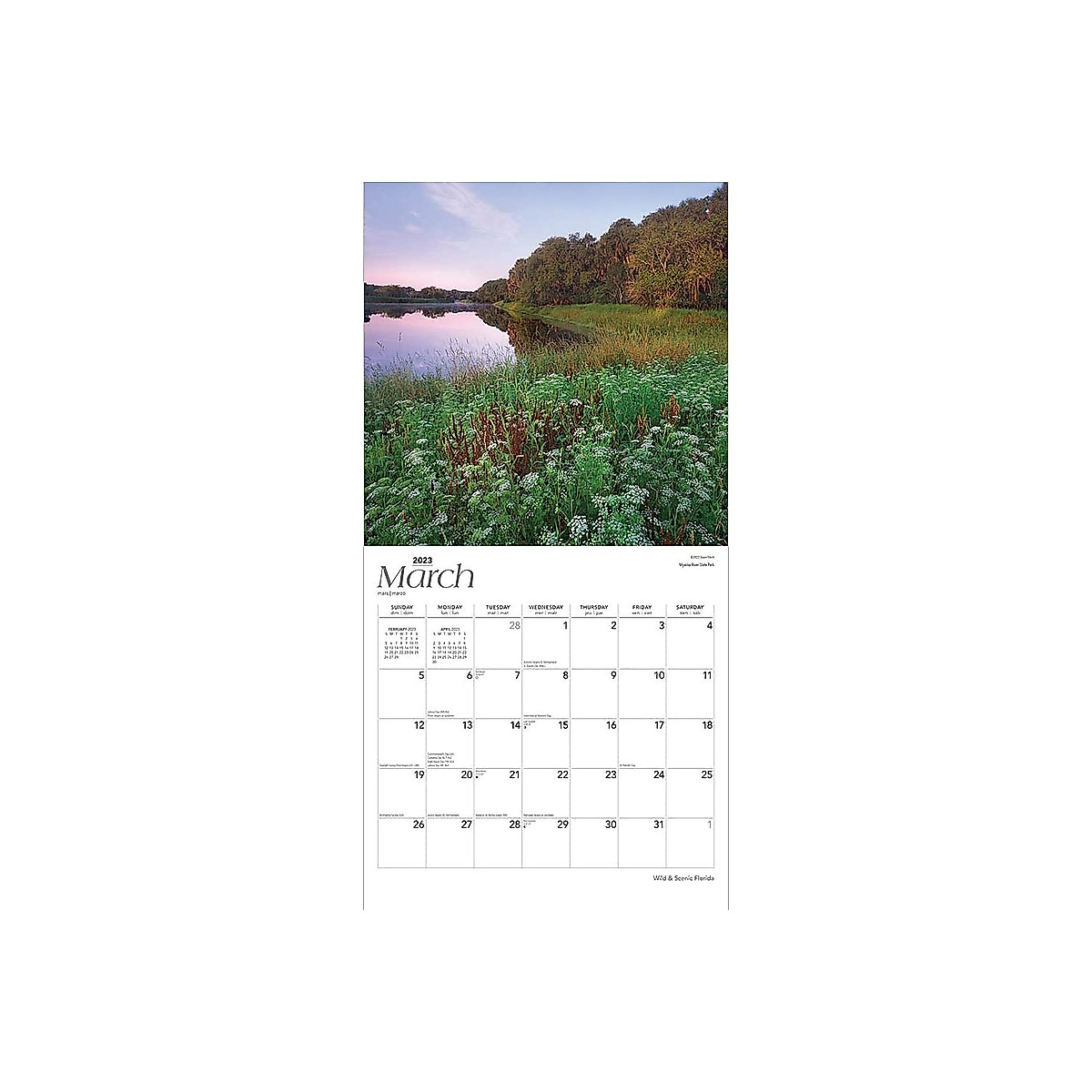 Florida Wild & Scenic | 2023 12 x 24 Inch Monthly Square Wall Calendar | Foil Stamped Cover | BrownTrout | USA United States of America Southeast State Nature