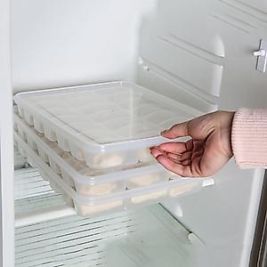 BESTonZON Dumpling Storage Box, Food Storage Containers with Lids, Reusable 21 Grid Dumpling Box Bins Holder with Lids for Refrigerator, Good Sealing Stackable Food Containers for Kitchen and Fridge