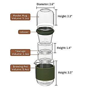 DOPUDO SPARROW Glass Tea Set, Portable Small Gongfu Teapot with 1 Infuser, 2 Cups and 1 Master Mug, All in One Water Resistant Case for Travel, Business Trip, Hotel