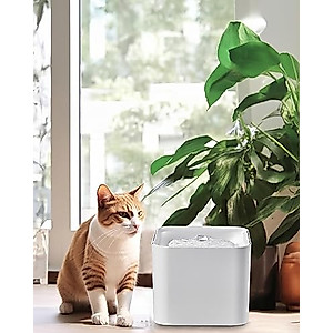 Cat Water Fountain,luti 67 oz/2.0L Automatic Water Fountain for Cats Inside with LED Light for Cats, Dogs, Multiple Pets, Replacement Filters Included, White