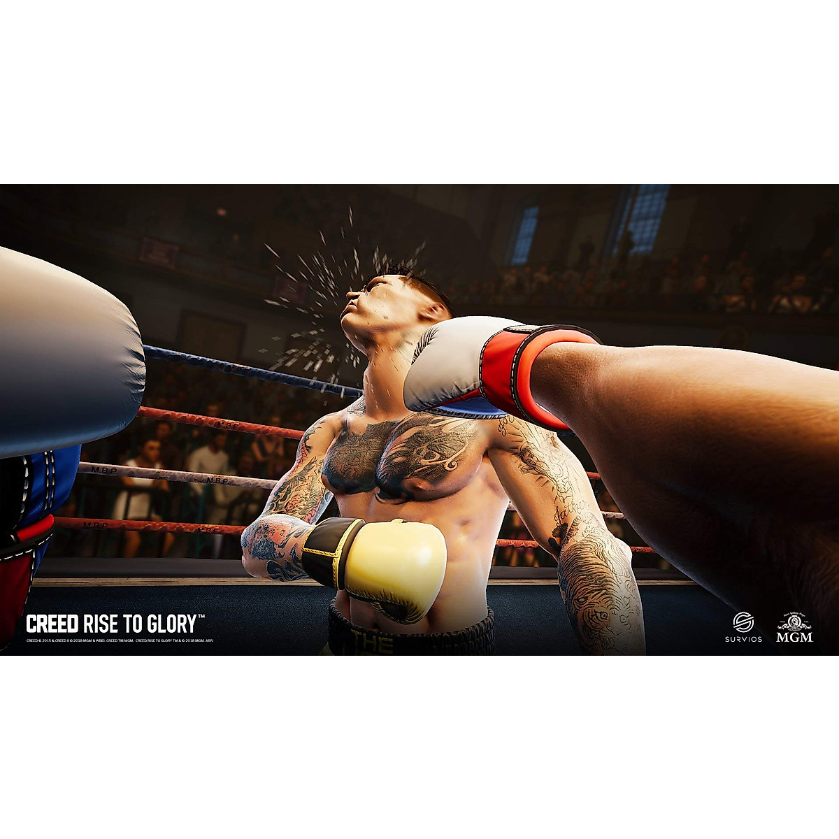 Creed: Rise to Glory PSVR (PS4) UK IMPORT