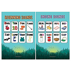 Creanoso Delightful Primary English Educational Learning Posters (24-Pack) - Premium Quality Gift Ideas for Children, Teens, & Adults for All Occasions - Stocking Stuffers Party Favor & Giveaways