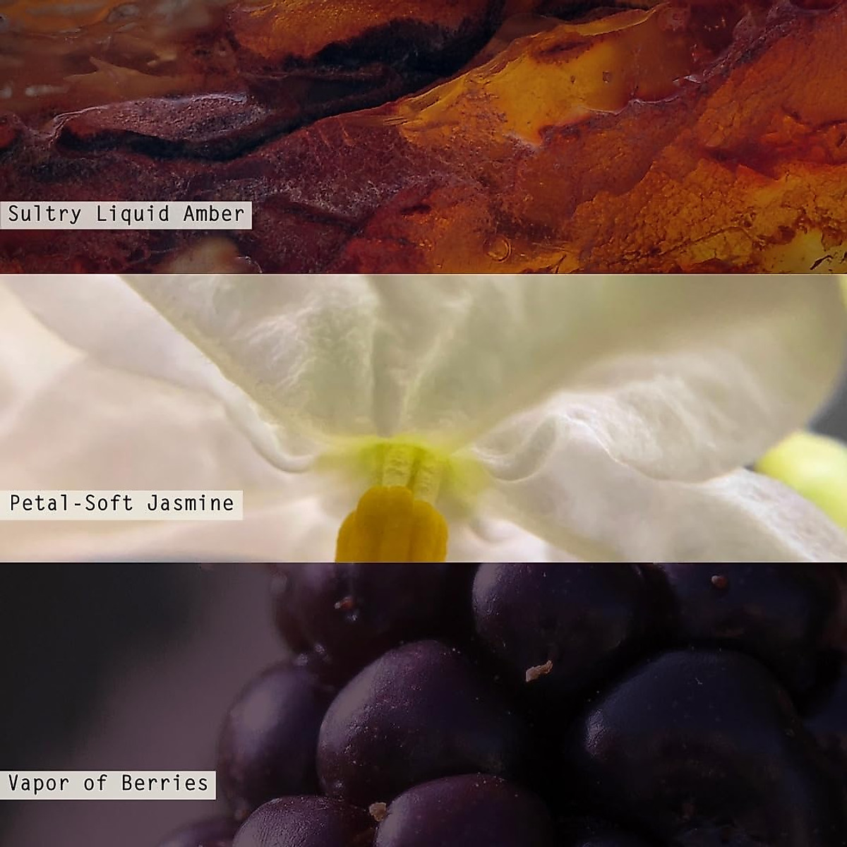 Illume Beautifully Done Essentials BlackBerry Absinthe Boxed Glass Scented Soy Candle