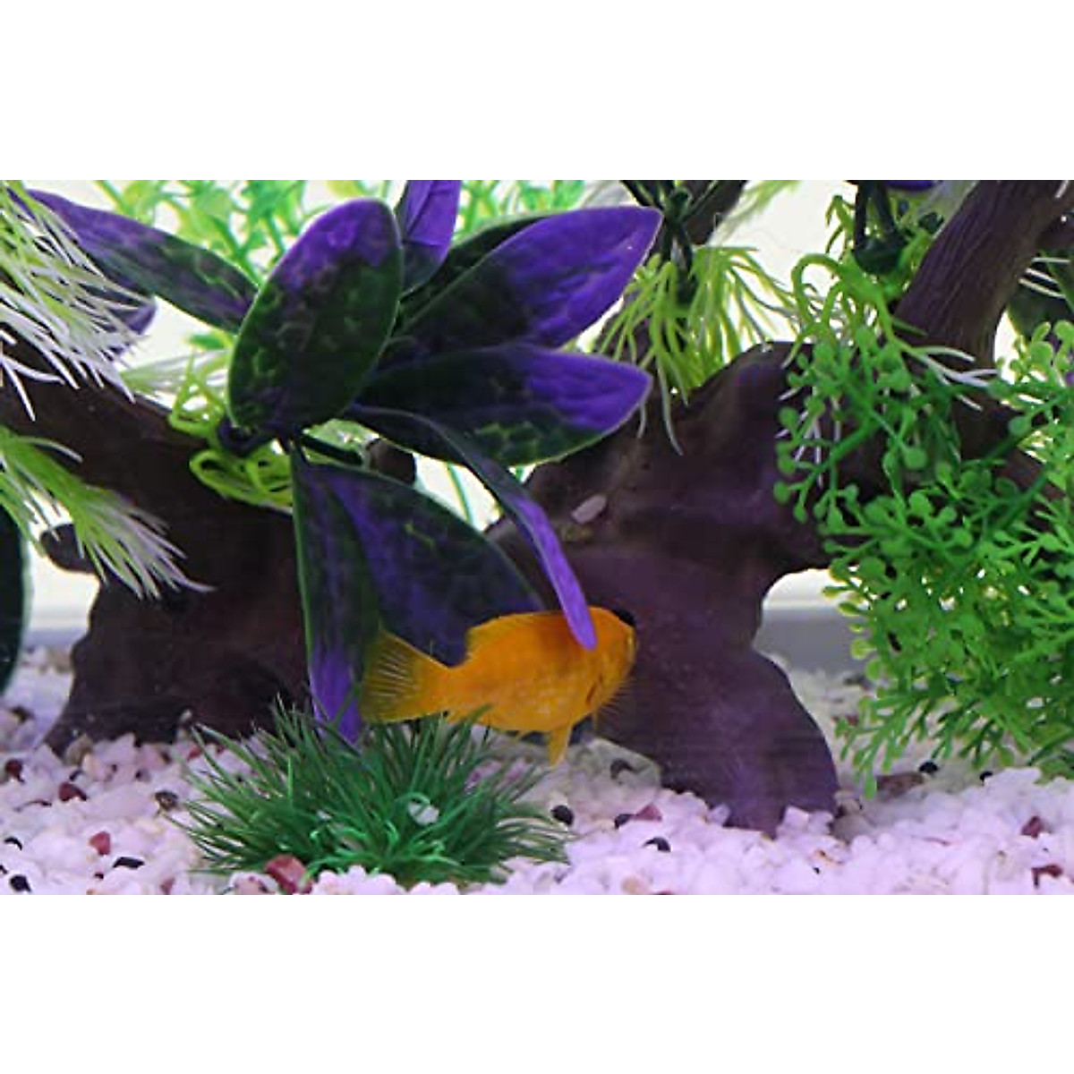 AQUA KT Aquarium Landscape Simulation Artificial Plant Purple, Plastic Plant for Fish Tank Decoration, Aquatic Water Plant, Fish Bowl Ornament