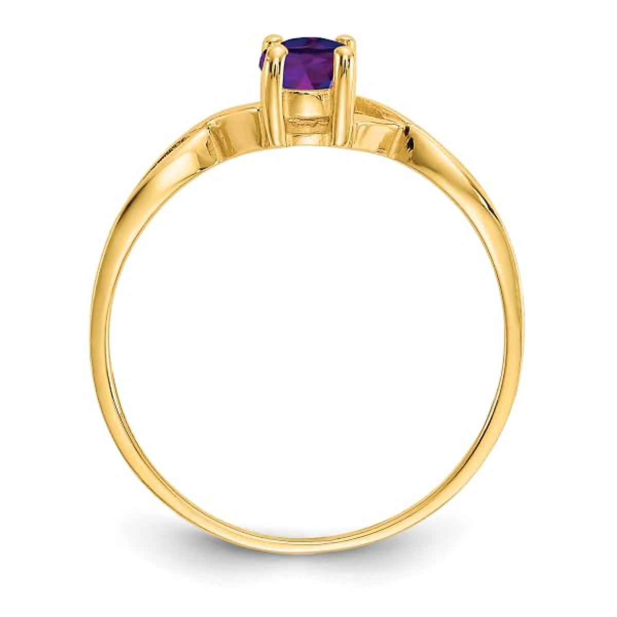 IceCarats 10K Yellow Gold Purple Amethyst Ring Gemstone Band February Birthstone Jewelry Size 7.00