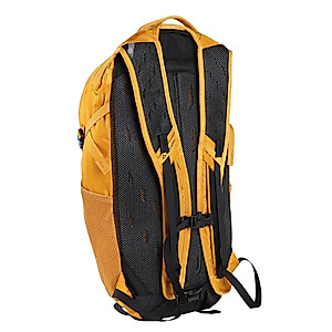 Gregory Mountain Products Nano 18 Blaze Green