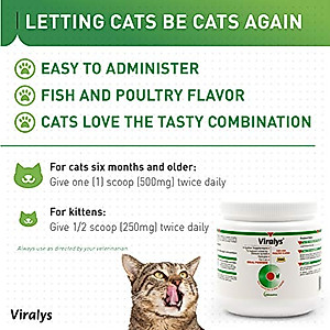 Vetoquinol Viralys L-Lysine Supplement for Cats - Cats & Kittens of All Ages - Immune Health - Sneezing, Runny Nose, Squinting, Watery Eyes - Flavored Lysine Powder