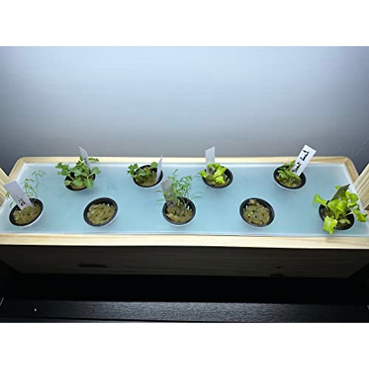Tabletop Hydrogarden 9 Spots