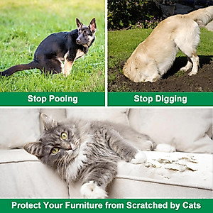 24 Pack Cats and Dogs Repellent Balls for Outdoor Use, Peppermint Stray Cat Repellent Outdoor to Stop Cat Pee & Dog Digging, Cat Deterrents for Furniture