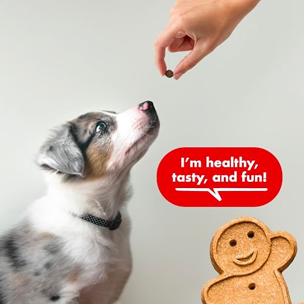 Buddy Biscuits Trainers Training Bites Soft & Chewy Dog Treats, Beef, 10 oz. Pouch