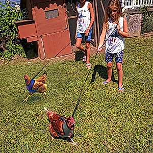 4 Pcs Adjustable Chicken Harness with Leash- 4 Styles Comfortable Hen Vest Breathable Mesh Chicken Training Harness and Leash for 2.5-3.6 Lb Duck Goose Hen Small Pets