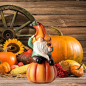 Jetec Fall Gnomes Statue Decor, Thanksgiving Gnome Pumpkin Gnome White Beard Gnome Statue Fall Pumpkin Fairy Statue Resin Pumpkin Decor Garden Yard Lawn Ornament Gift, 6.7 Inch Tall