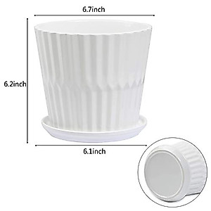 sietpoek Plant Pots - 6.7 Inch Cylinder Ceramic Planters with Connected Saucer, Pots for Succuelnt and Little Snake Plants, Set of 2, White