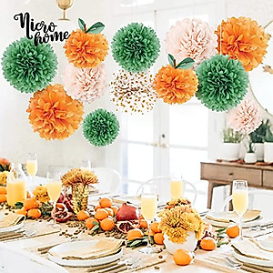 NICROHOME Little Cutie Baby Shower Decorations, 12 PCS Light Orange Green Tissue Paper Pom Poms for Party Decorations, Birthday, Spring Summer Party, Fruit Themed Parties