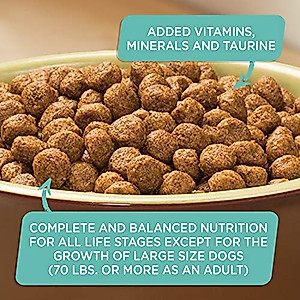 Rachael Ray Nutrish Zero Grain Dry Dog Food, Salmon & Sweet Potato Recipe, 11.5 Pounds