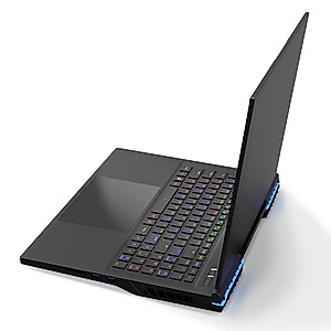Eluktronics MECH 17 GP2 RTX 4090 Gaming Laptop: Intel Core i9-13900HX, 17" 16:10 240Hz QHD G-SYNC Panel, Cherry MX Mechanical Keyboard, 99.8WHr Battery, Thunderbolt 4, 2TB Gen 4 SSD, 64GB DDR5 RAM