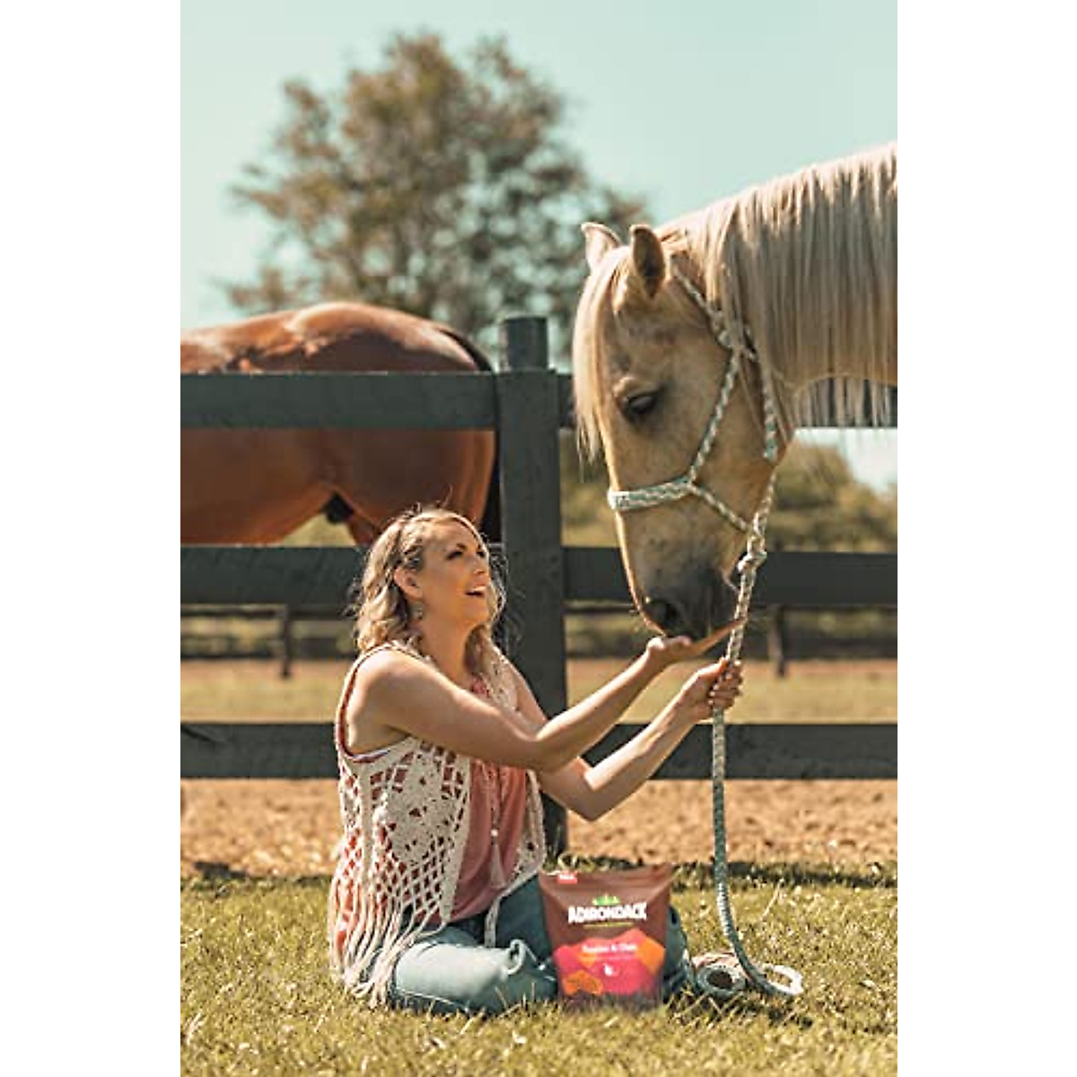 Adirondack Apples & Oats Premium Horse Treats [Oven Baked, Heart Shaped Horse Treats with Apples and Oats], 1.5 lb. Pouch