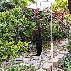 Dead Crow Scare Kit - 2 Dead Crow Bird Deterrents & Bird Distress Calls cd