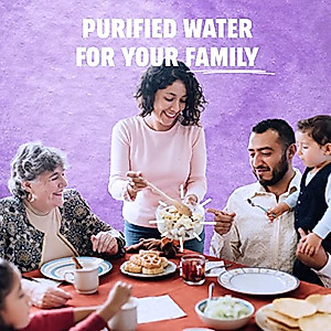 Nestle - Pure Life Purified Bottled Water, 16.9 Oz., 16.9 Fl Oz (Case of 24)