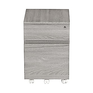 Techni Mobili Rolling Lock and Storage 2 Drawer Vertical Filing Cabinet, 15.75" L x 17.75" W x 23" H, Gray