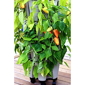 Greenstalk Mover Vertical Planters