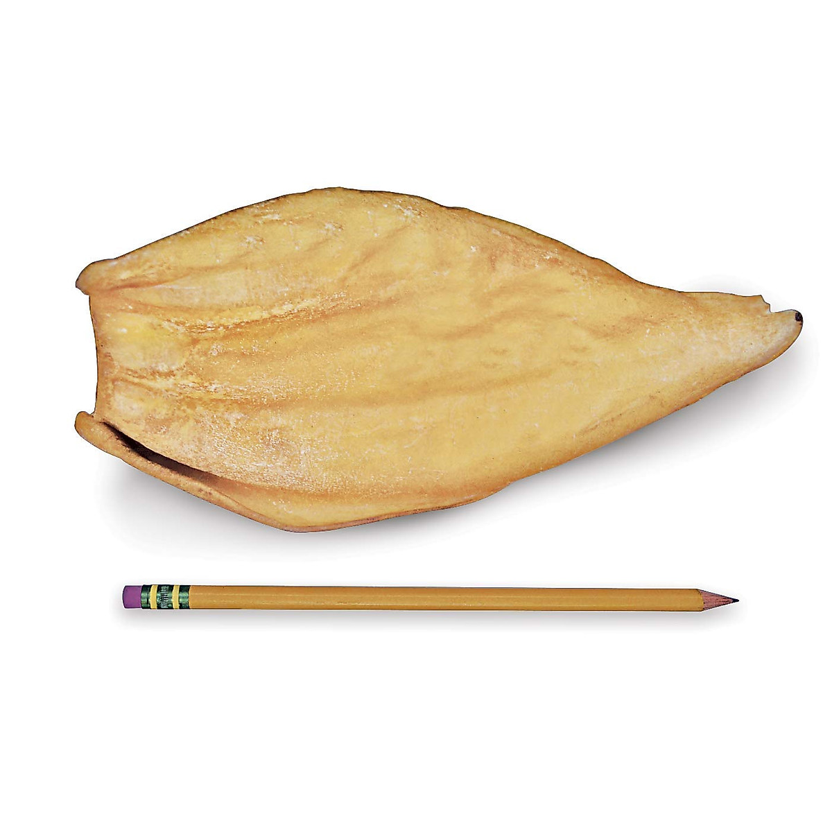 Yummy Dog Chews – Premium Cow Ears for Dogs – Long Lasting Pet Chew Treats – Sourced from Grass Fed Cattle – Rich Taste & Chewy Texture for All Breeds (6 Ears)