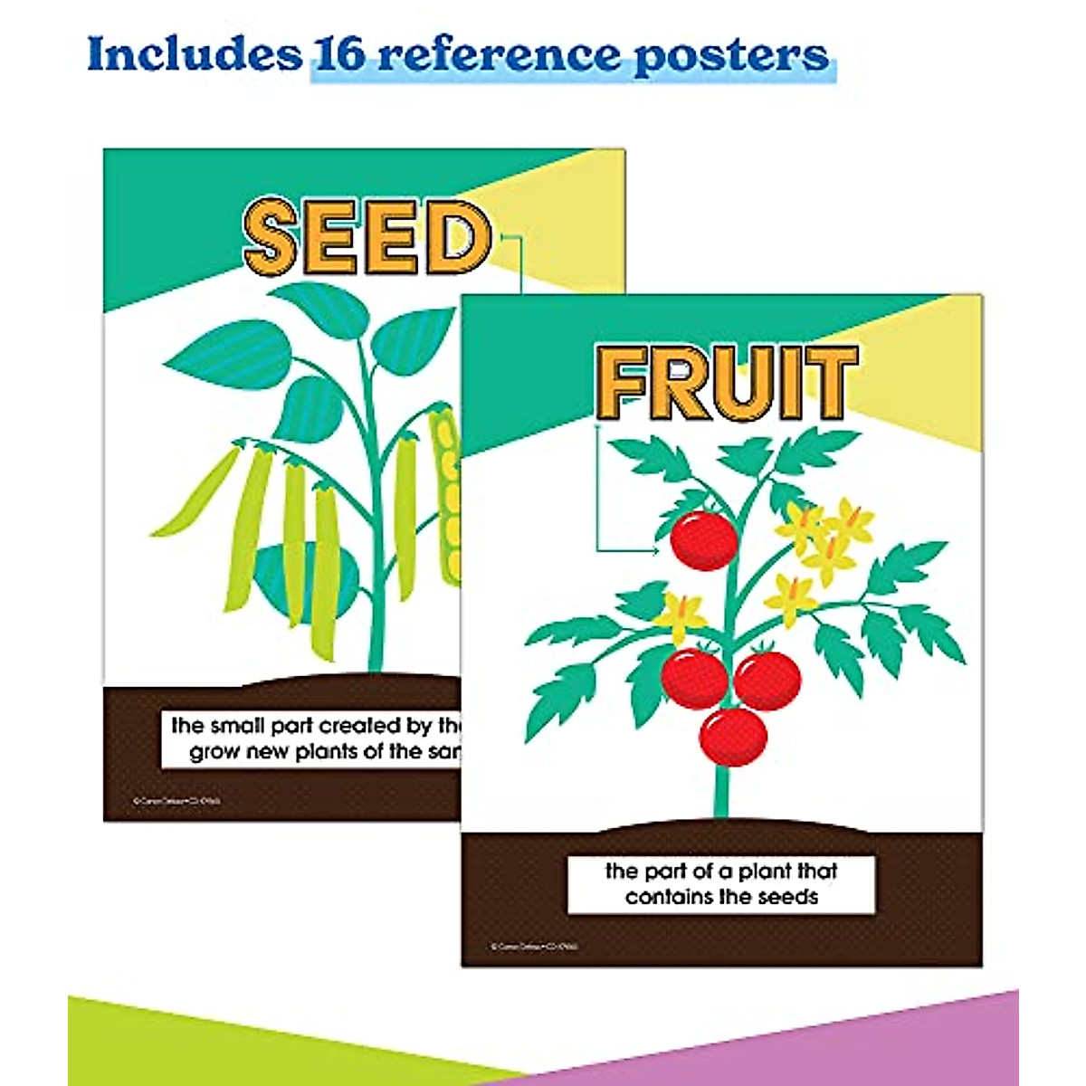 In A Flash Plants Science Instructional Resources—Flash Drive With Lessons, Labs, Observation Journal, Templates, Songs, Posters, STEM Challenge, Plant E-Books, Grades K-2 (191 pgs)