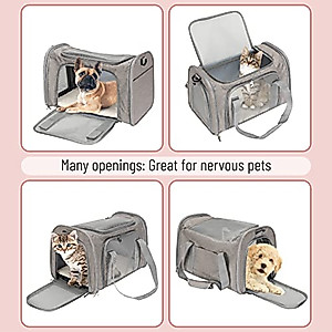 Mr. Pen- Pet Carrier, Cat Carrier, Dog Carrier, Cat Bag Carrier, Cat Travel Carrier, Soft Cat Carrier, Dog Travel Carrier, Pet Travel Carrier, Dog Soft-Sided Carriers, Cat Carrier Bag