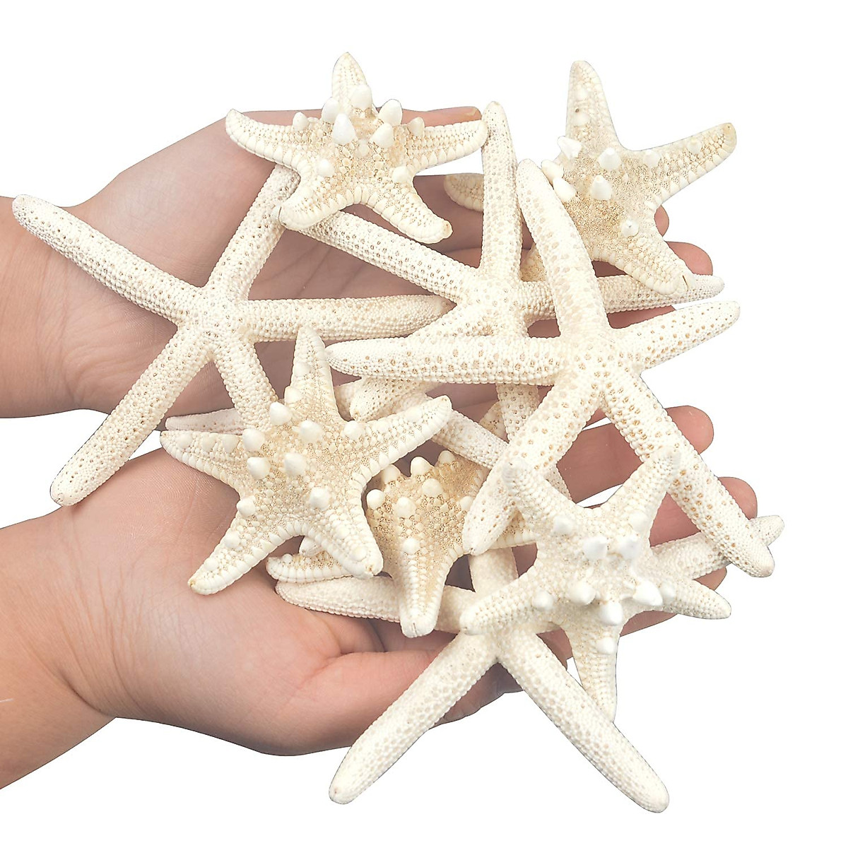 Jangostor 12 PCS Starfish 2-6 Inch Mixed Starfish Natural Seashells Starfish Star Fish Shells Decorations Perfect for Wedding Decor Beach Theme Party, Home Decorations, DIY Crafts, Fish Tank
