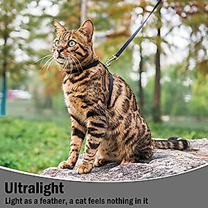 PUPTECK Adjustable Cat Harness Nylon Strap Collar with Leash Black