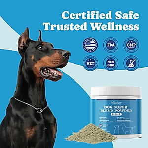 Supplements for Dogs, Dog Supplements Super Blend Powder 9 in 1, Vitamins for Dog, with Iceland Fish Powder, Support Gut Health, Hip and Joint, Multivitamin Support, 6.35oz, Fish Flavor