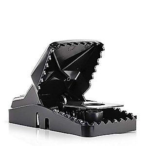 eXuby Large Powerful Rat Traps (4 Pack) - Kills Instantly with Powerful Steel Spring - Setup in Seconds - Wash & Reuse Over & Over - Hands Free Disposal - Rat Control Without Harmful Poisons or Chem